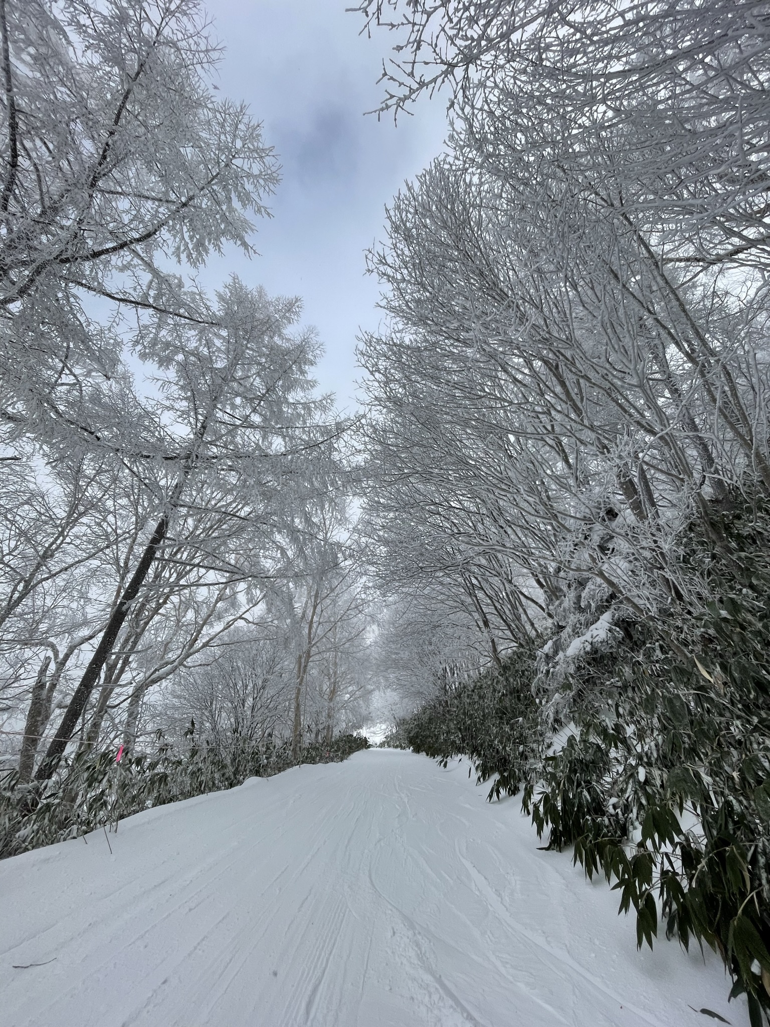 今年は雪が少なめ？ - ALOHA100-新築デザイン住宅