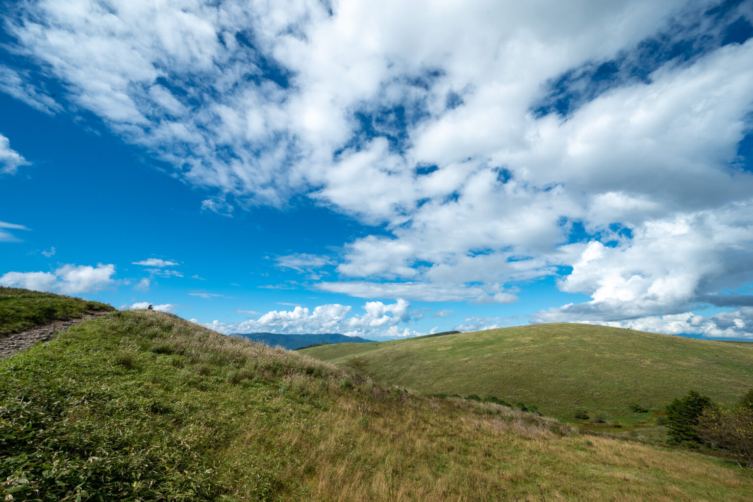 日帰り登山｜霧ヶ峰（車山）登山初心者におすすめ - ALOHA100-新築デザイン住宅